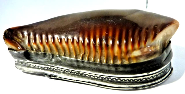 ANTIQUE GEORGIAN BROWN Shell Snuff box with Pewter mounts No damage ! £ ...