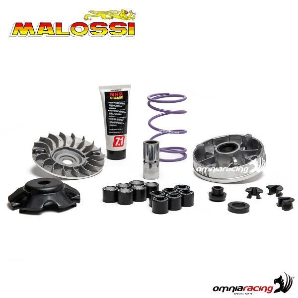 MALOSSI VARIATOR MULTIVAR MHR Team 2 for Gilera Runner SP 50 2T LC EUR ...
