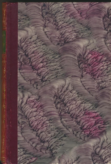 WILHELM MEINHOLD: MARIA Schweidler - Die Bernsteinhexe (ca 1920) EUR 14 ...