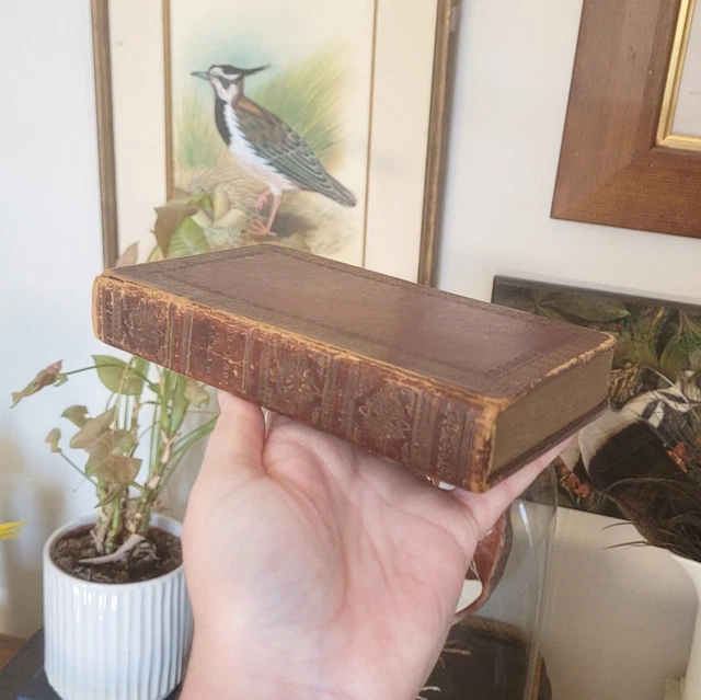 ANTIQUE BOOK 1800S The Lives Of Remarkable Characters beautiful ...