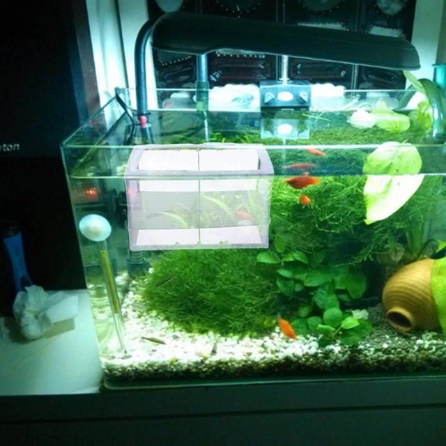 FISH BREEDING ISOLATION for Fry Hatchery Aquarium Incubator $26.27 ...
