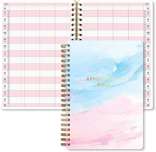 APPOINTMENT BOOK WITH 15 Minute Slots - Daily Hourly Planner 6AM to 9PM ...