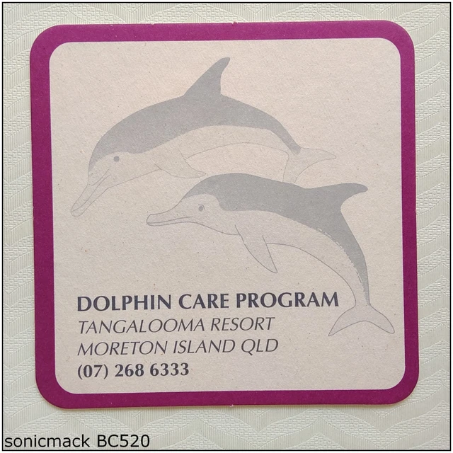 DOLPHIN CARE PROGRAM Tangalooma Resort Moreton Island Qld Coaster (B520 ...