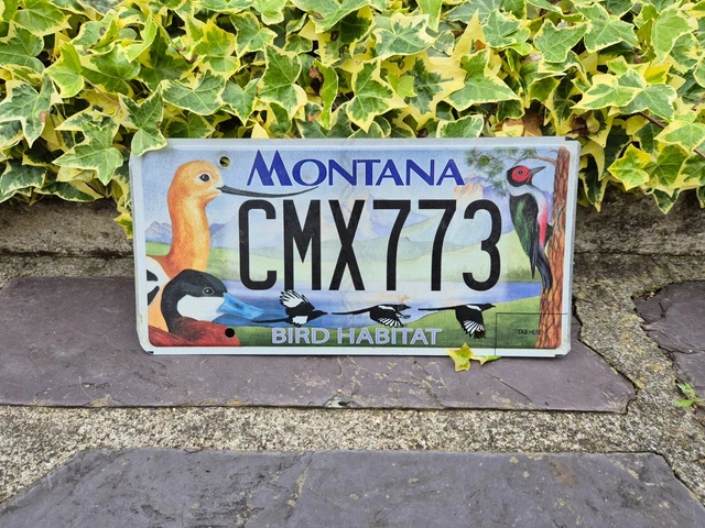 PLAQUE D'IMMATRICULATION MONTANA CMX773 USA US License Plate - BIrd ...