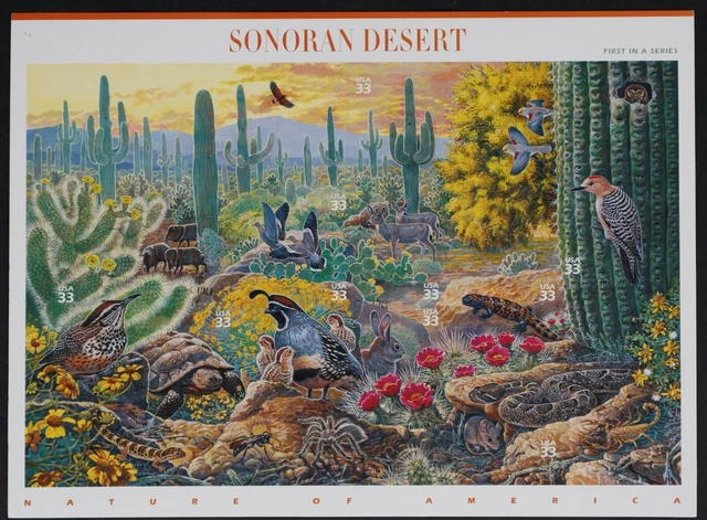 DÉSERT DE SONORA d'occasion #3293 33c aux États-Unis. Feuille de 10 ...