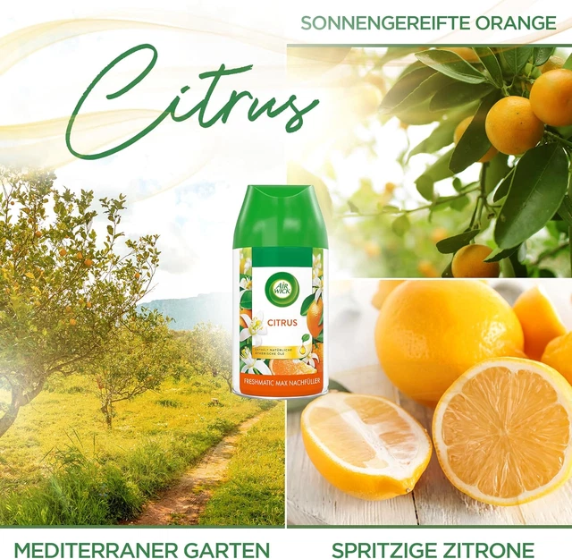 AIR WICK FRESHMATIC Max – Nachfüller Set – Automatisches Raumspray ...