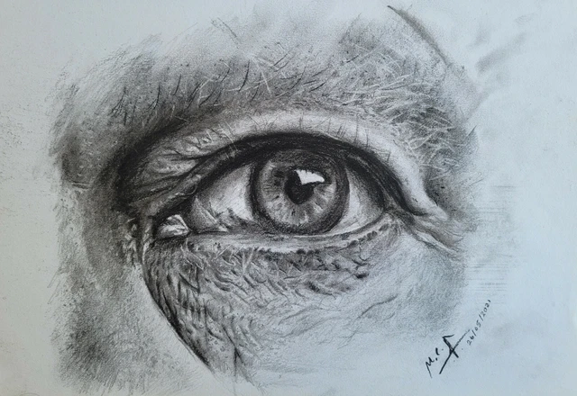 ORIGINAL REALISTIC EYE Drawing Graphite and Charcoal on A4 Paper $30.00 ...