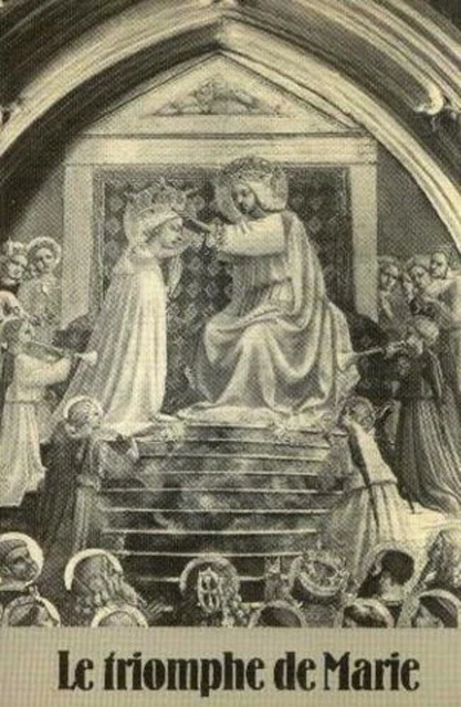 LE TRIOMPHE DE Marie | Leonardi Elena | Bon état EUR 11,00 - PicClick FR
