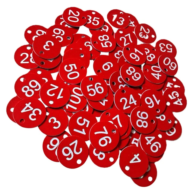 100PCS NUMBERED 1-100 Tags Key Tags Plastic ID Tags Luggage Tags ...