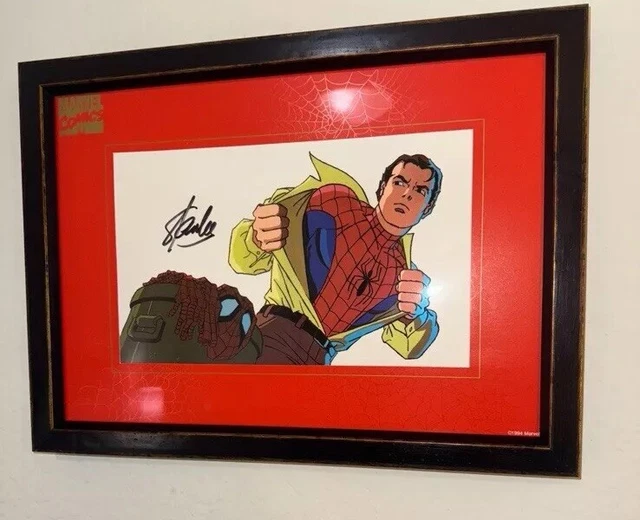 STAN LEE SIGNED Promotional ‘94 Spider-man Animated Series Framed ...