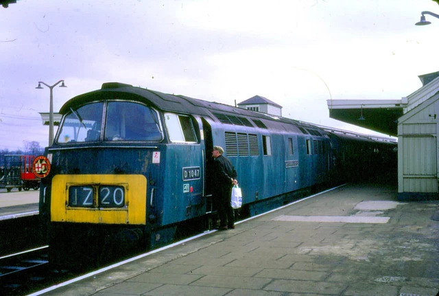 35MM ORIGINAL SLIDE DIESEL HYDRAULIC CLASS 52 WESTERN LORD BLUE DIDCOT ...