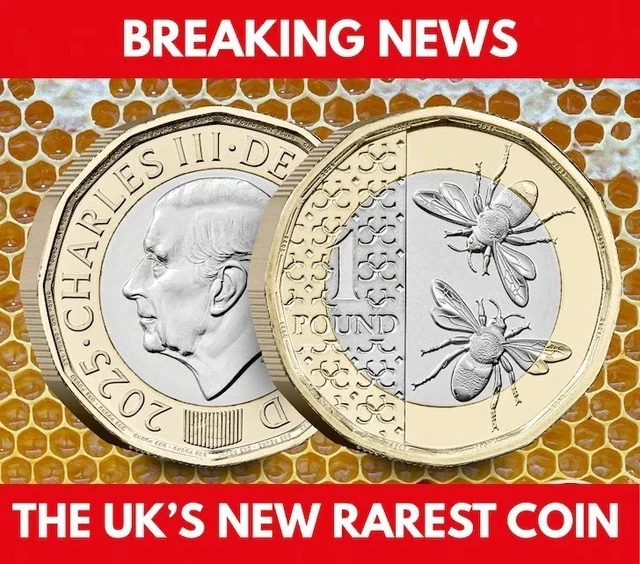 2025 £1 ONE Pound Coin 2025 Bee £1 - uncirculated taken from a sealed ...