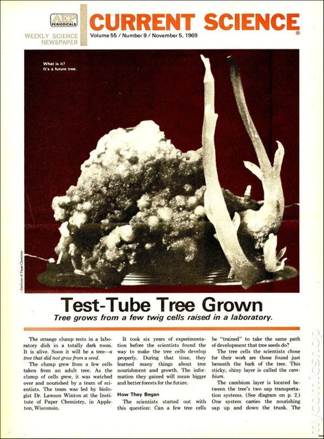 CURRENT SCIENCE #5509 FN 6.0 1969 Stock Image £8.72 - PicClick UK