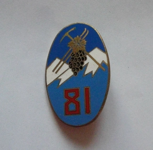 INSIGNE : 81ÈME REGIMENT D'INFANTERIE ALPINE - EUR 13,00 - PicClick FR