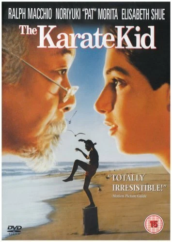 KARATE KID / Karate Kid 2 / Karate Kid 3 (Collector's DVD set) Ralph ...