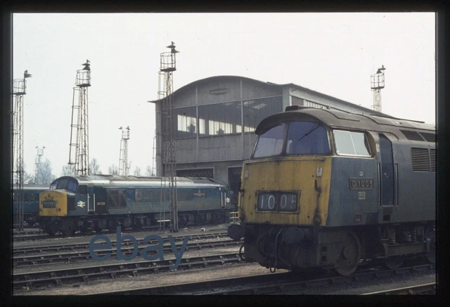 ORIGINAL 35MM SLIDE - Class 52 D1005 'Western Venturer' & 46026 on shed ...