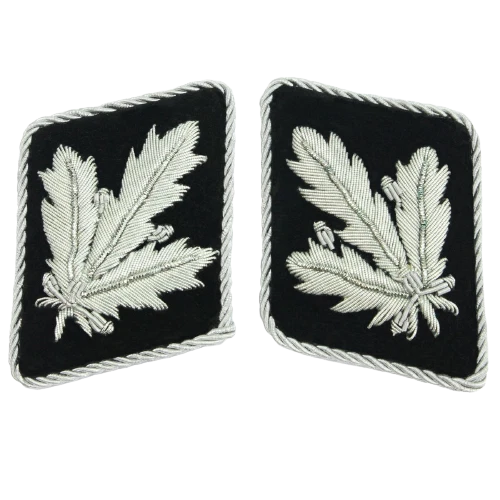WWII GERMAN WAFFEN-SS Brigadefuhrer Collar Tabs SS Officer Uniforms SS ...