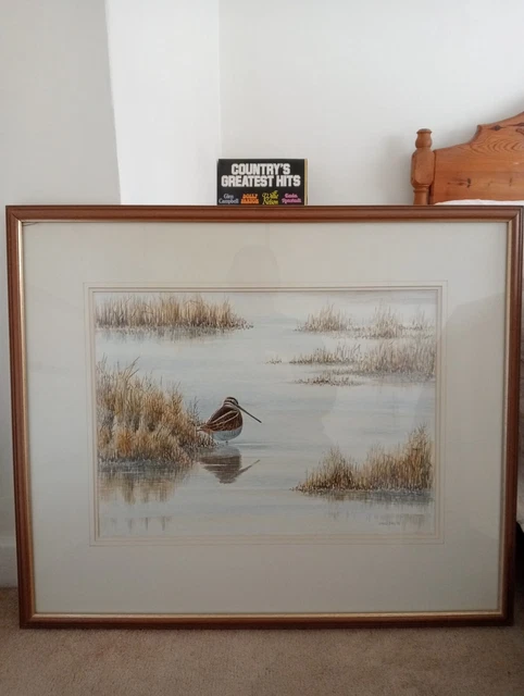 DAVID DALY WATERCOLOUR Of A Snipe Signed And Dated 1990. £180.00 ...