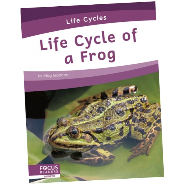 Life Cycles Life Cycle Of A Frog Meg Gaertner 2021 Paperback Z2 £