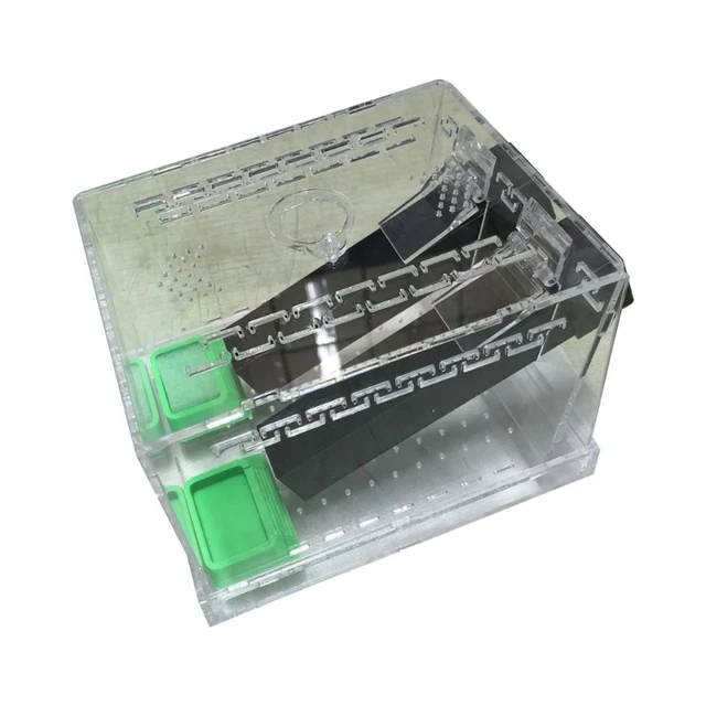 ACRYLIC INSECT BOX Container with Feeding Tubs Detachable Bottom Base ...