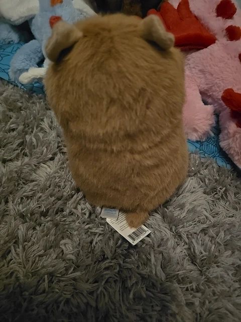 BNWT! 100% GENUINE Jellycat Gordy Guinea Pig & Complimentary Hangtag ...