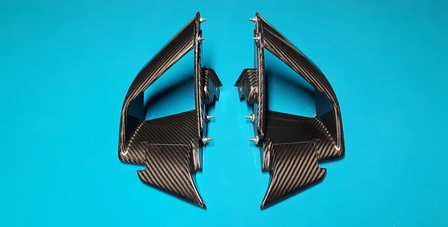 BMW S1000RR K67 BMW M1000RR K66 BMW M1000RR K66 Original Carbon Winglet ...