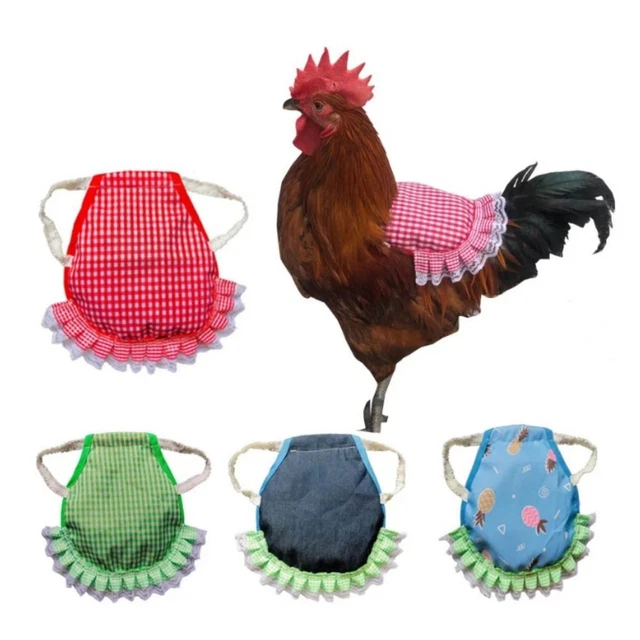 1PCCHICKEN APRON HEN Chicken Saddle Wing Back Protector Jacket Straps ...