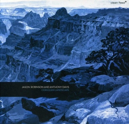 JASON SHERBUNDY CERULEAN Landscape (CD) EUR 19,91 - PicClick FR