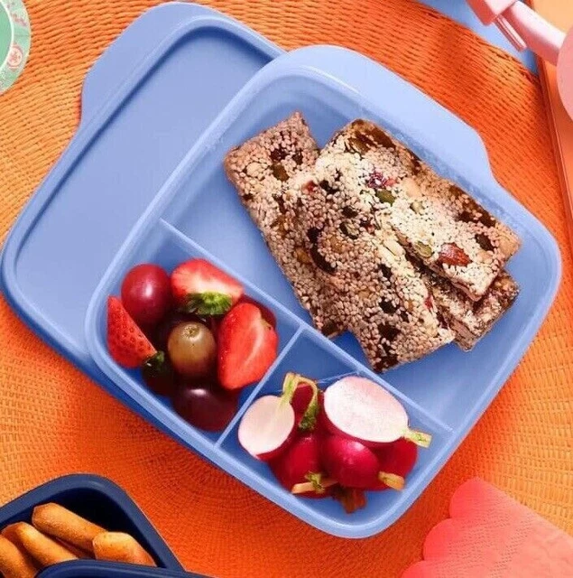 TUPPERWARE DIVIDED LUNCH Snack Box in Blue Square 550ml New EUR 14,58 ...