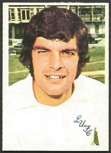 FKS 1974/75 WONDERFUL World Of Soccer Stars- #132-Leeds United-Mick ...