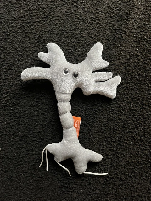 GIANT MICROBES-GIGANTIC BRAIN CELL-Stuffed Plush Neuron Synapse Biology ...