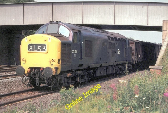RAILWAY PHOTO 6X4 Class 37 37134 BR Blue Mixed Freight Pilmoor c1975 £2 ...