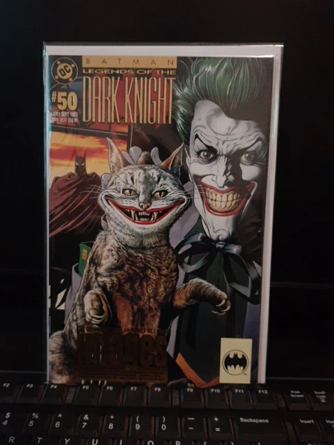 BATMAN LEGENDS OF The Dark Knight #50 Brian Bolland Cover DC Comic 1993 ...