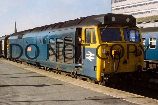 UK DIESEL TRAIN Railway Photograph Of Class 50 50024 Loco. Rm50-153 £1. ...