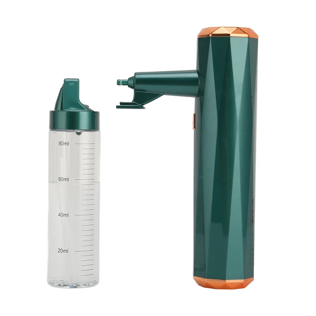 FACIAL OXYGEN SPRAY Injector Moisturizing Improve Skin Handheld Nano ...