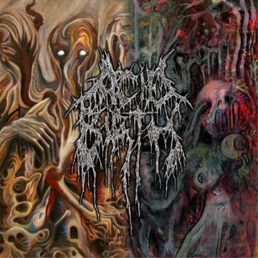 ACID BIRTH PLEASURES of Flesh/The Divine Grotesque (CD) Album EUR 24,14 ...