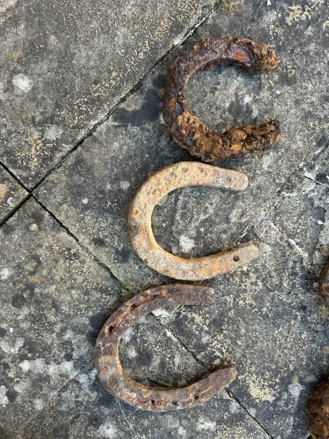 WW1 HORSESHOE WAR Horse Somme Relic Field Walking Find British German ...