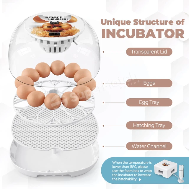 12 EGGS INCUBATOR Automatic Hatching Chicken Duck Quail Hatcher with ...