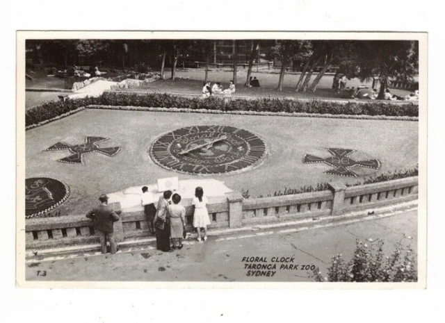 AUSTRALIA POSTCARD, FLORAL CLOCK, TARONGA PARK ZOO, Sydney NSW $8.50 ...