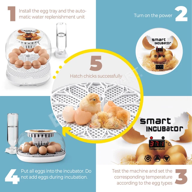 12 EGGS INCUBATOR Hatching Chicken Duck Quail Hatcher with Turner ...