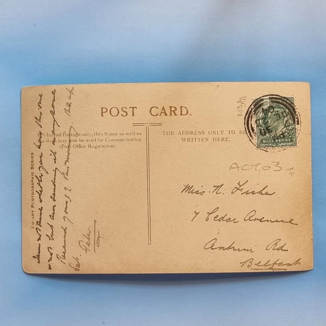 EDWARDIAN ACTRESS POSTCARD Real Photo 1906 Miss Evelyn Millard Hair Fur Fashion £5.95 - PicClick UK