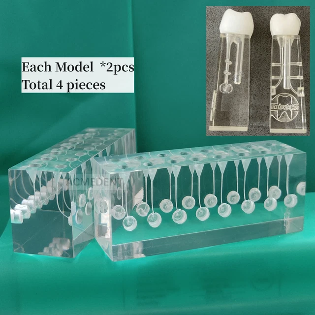 DENTAL RCT FILES Practise Molar Blocks Files Block Fits Woodpecker Endo ...