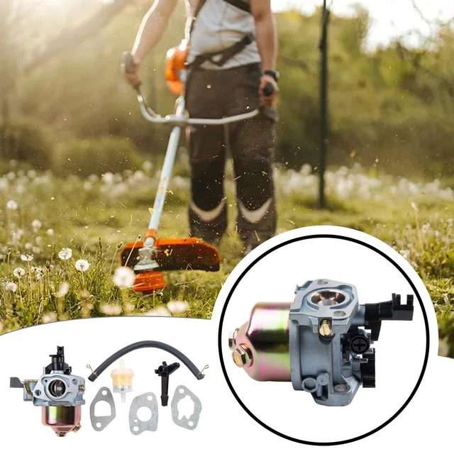 CARBURATEUR HAUTE PERFORMANCE pour EINHELL BGPM 46S HW BGPM 46 SHWSE BGPM 51 SHW EUR 26,52 ...