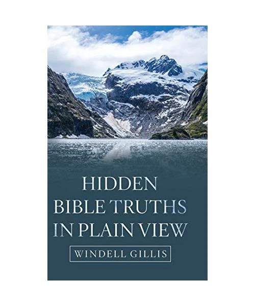 HIDDEN BIBLE TRUTHS in Plain View, Windell Gillis EUR 28,31 - PicClick FR