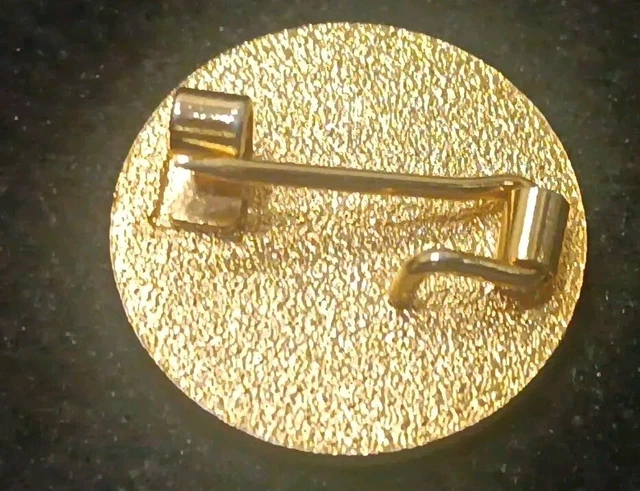 SPILLA PINS DISTINTIVO Stemma Simbolo Badge Logo Crest Club Us Lecce ...