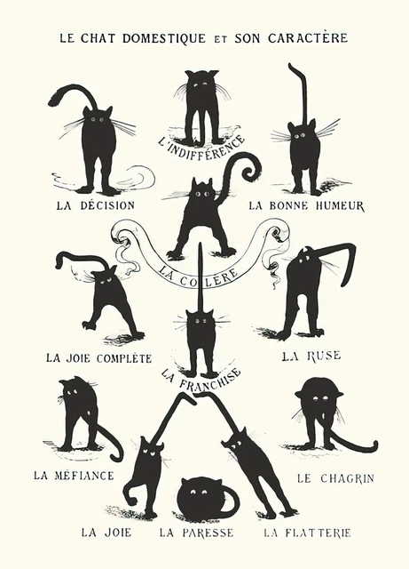 POSTER LE CHAT domestique et son Caractère 27,94 x 35,56 cm EUR 6,99 ...
