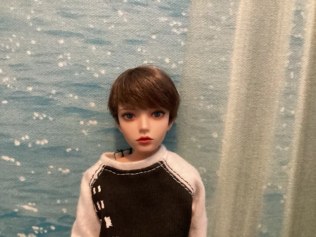 1/6 OOAK CUSTOM Skipper Barbie Boy Doll: Cool Teen -Headsculpt +body ...