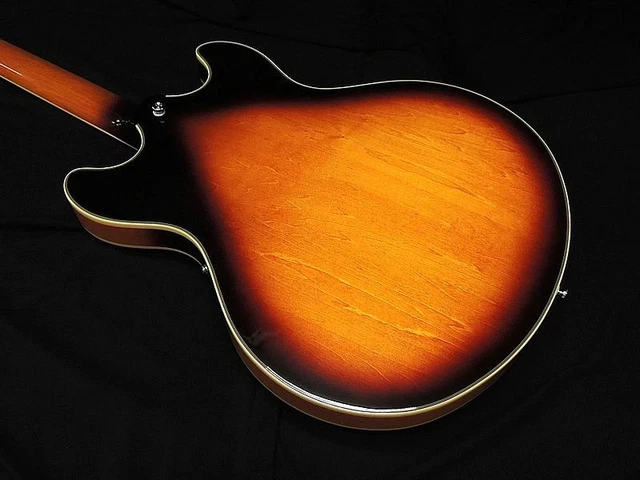 SIRE LARRY CARLTON H7 VS Semi Acoustic Type Electric Guitar $3,291.39 ...