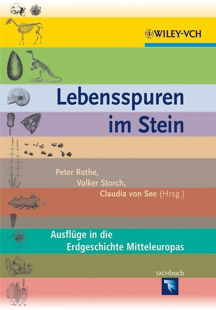 LEBENSSPUREN IM STEIN | Peter Rothe (u. a.) | Buch | 300 S. | Deutsch ...