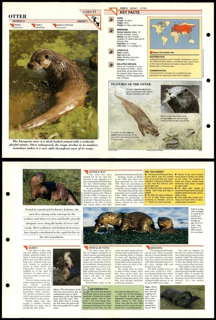 NYALA #332 MAMMALS Wildlife Fact File Fold-Out Card £1.99 - PicClick UK